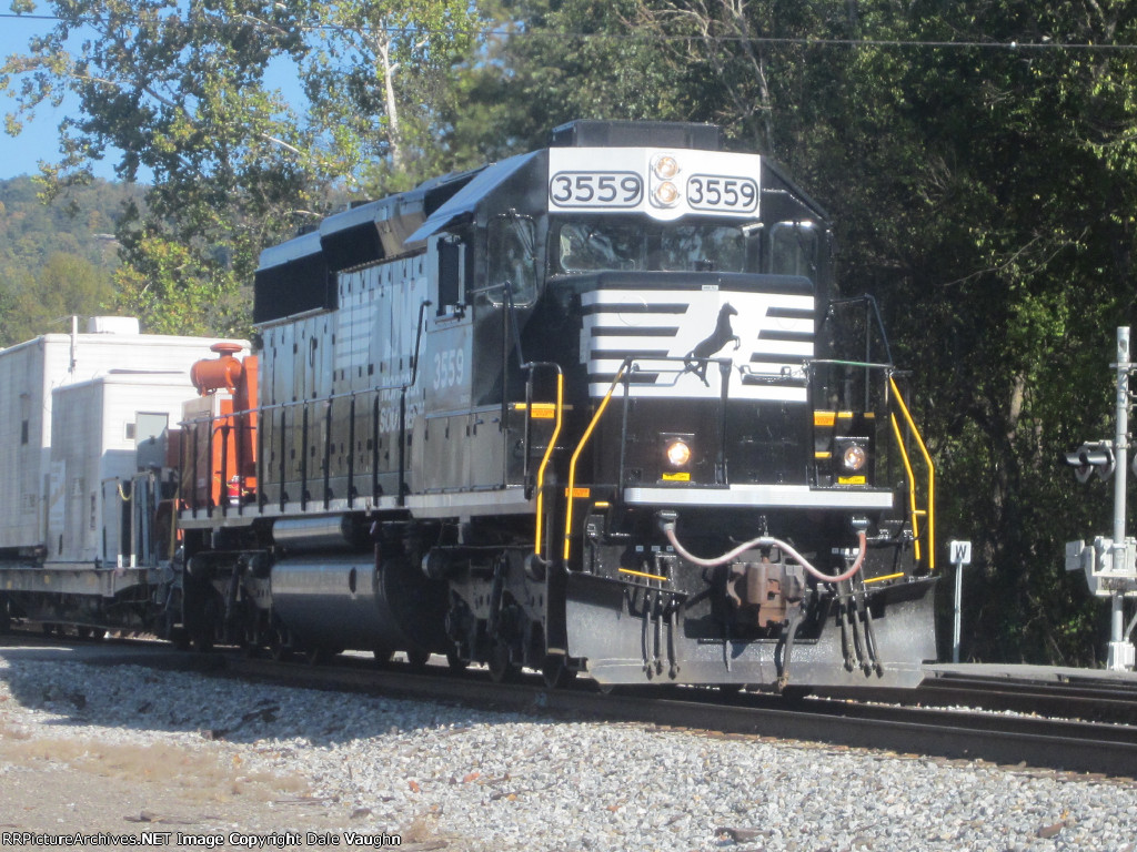 NS 3559